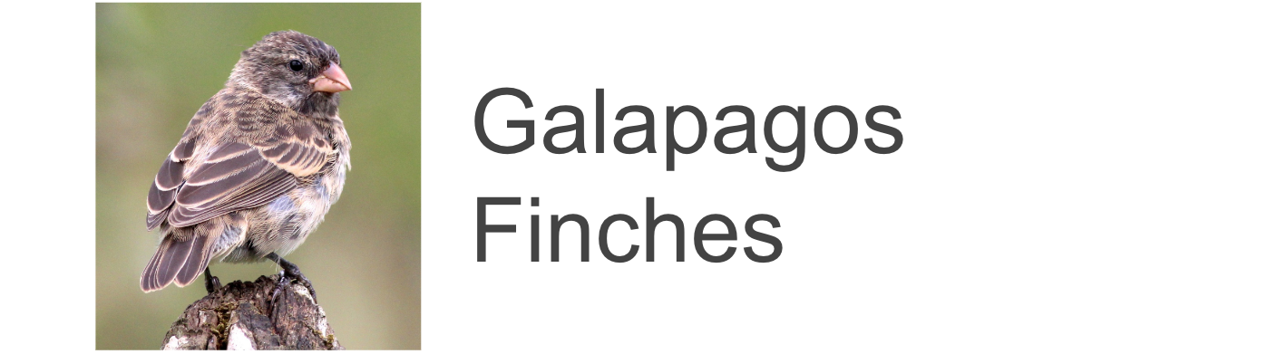 CSCI 104: Data Science and Computing for All — CSCI 104: Data Science ...