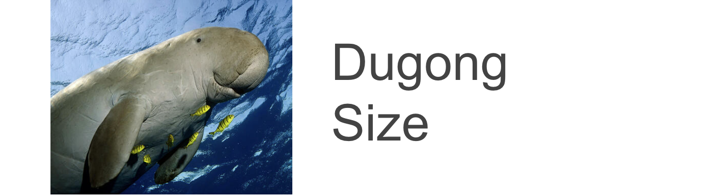 CSCI 104: Data Science and Computing for All — CSCI 104: Data Science and Computing for All