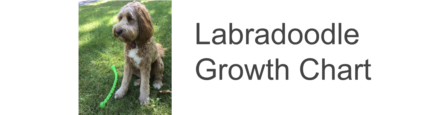 CSCI 104: Data Science and Computing for All — CSCI 104: Data Science and Computing for All